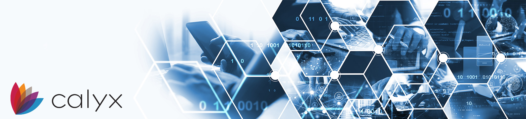 Request a Demo of Calyx